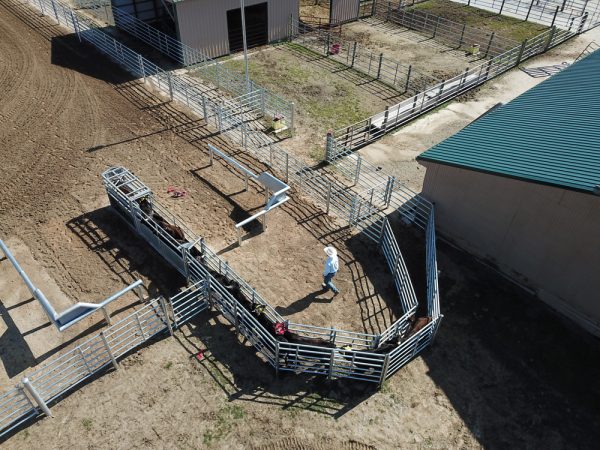 Rodeo and Riding Arena Kits / Packages | Midwest Rancher