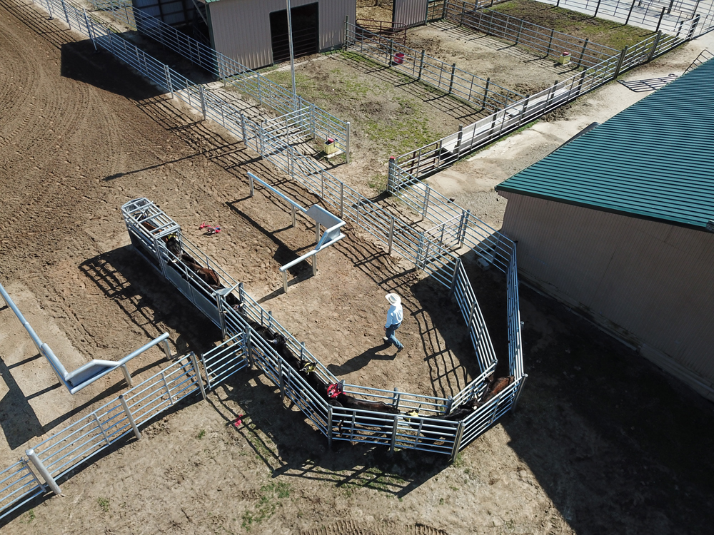 Rodeo and Riding Arena Kits / Packages | Midwest Rancher